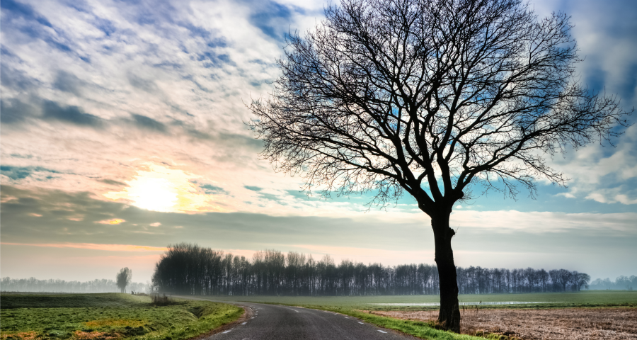 De stilte na een schaterlach - Zin.nl