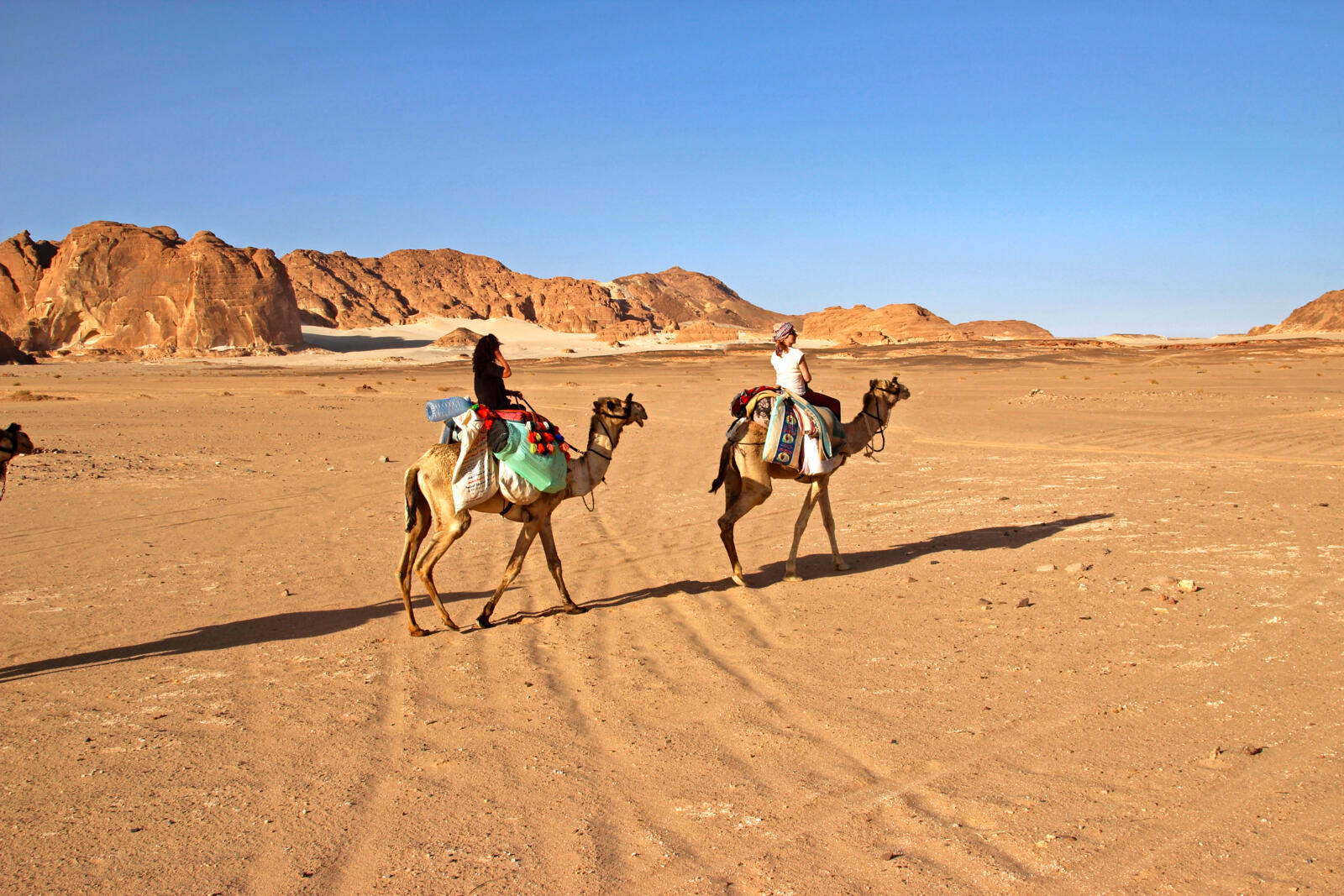 Reis op het schip van de woestijn - Zin.nl
