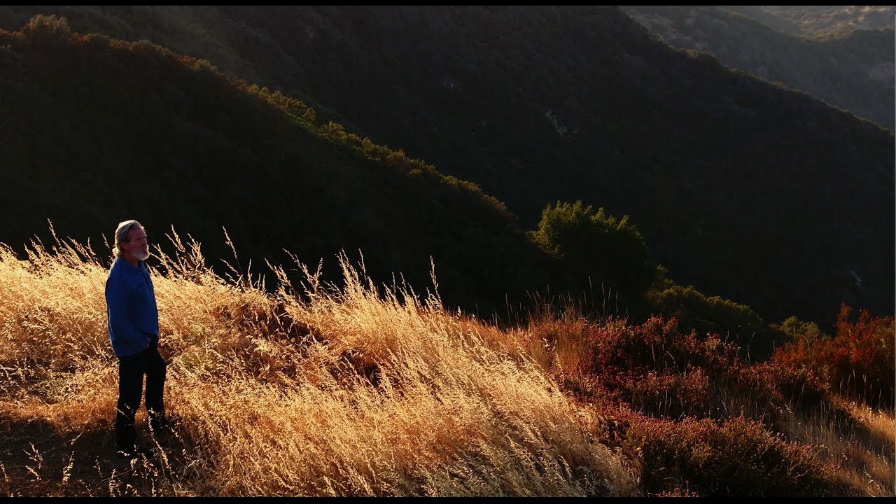 3 x prijswinnende natuurfilms in de bios - Zin.nl