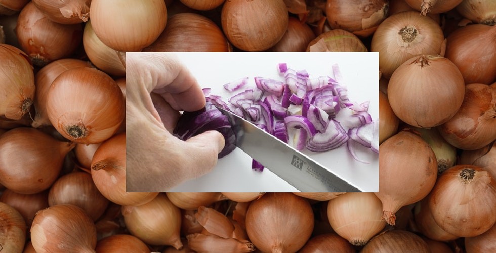 Welke ui moet je gebruiken? - Zin.nl