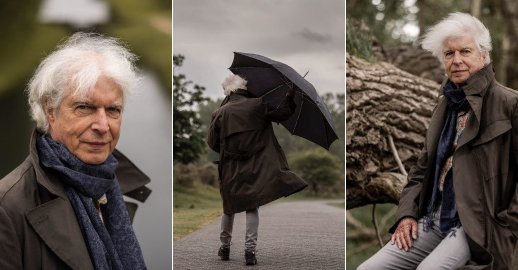 Boudewijn de Groot - Zin.nl