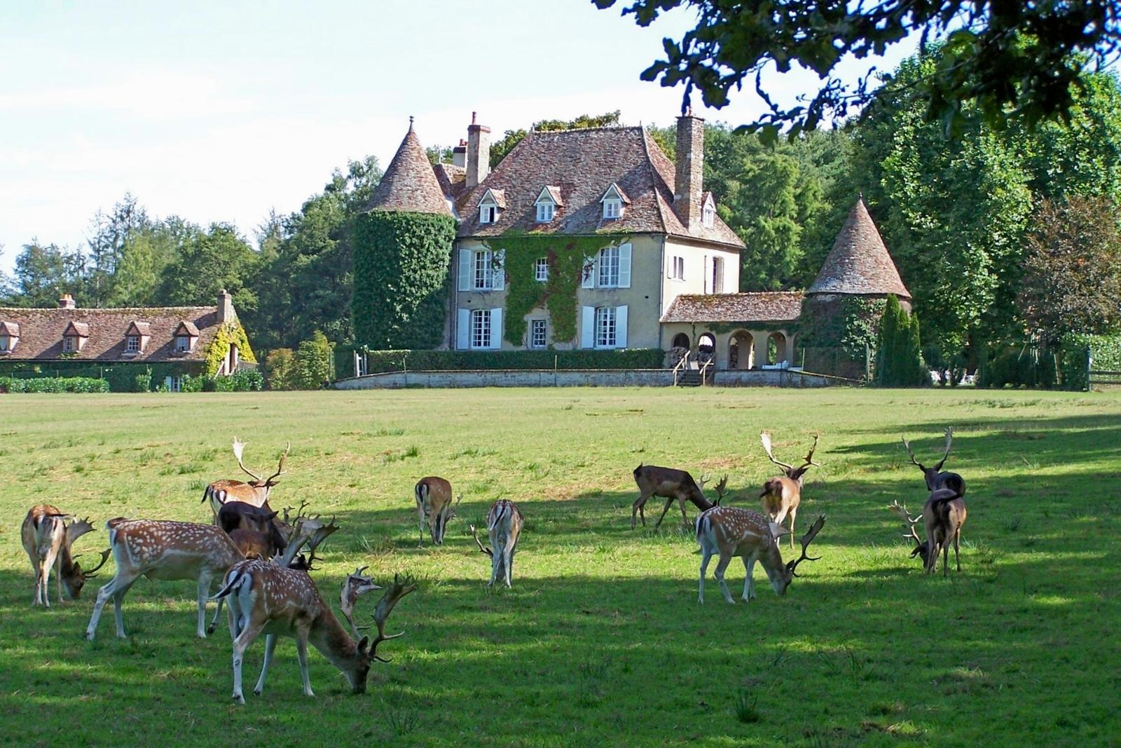 Ontdek de Puisaye: - Zin.nl