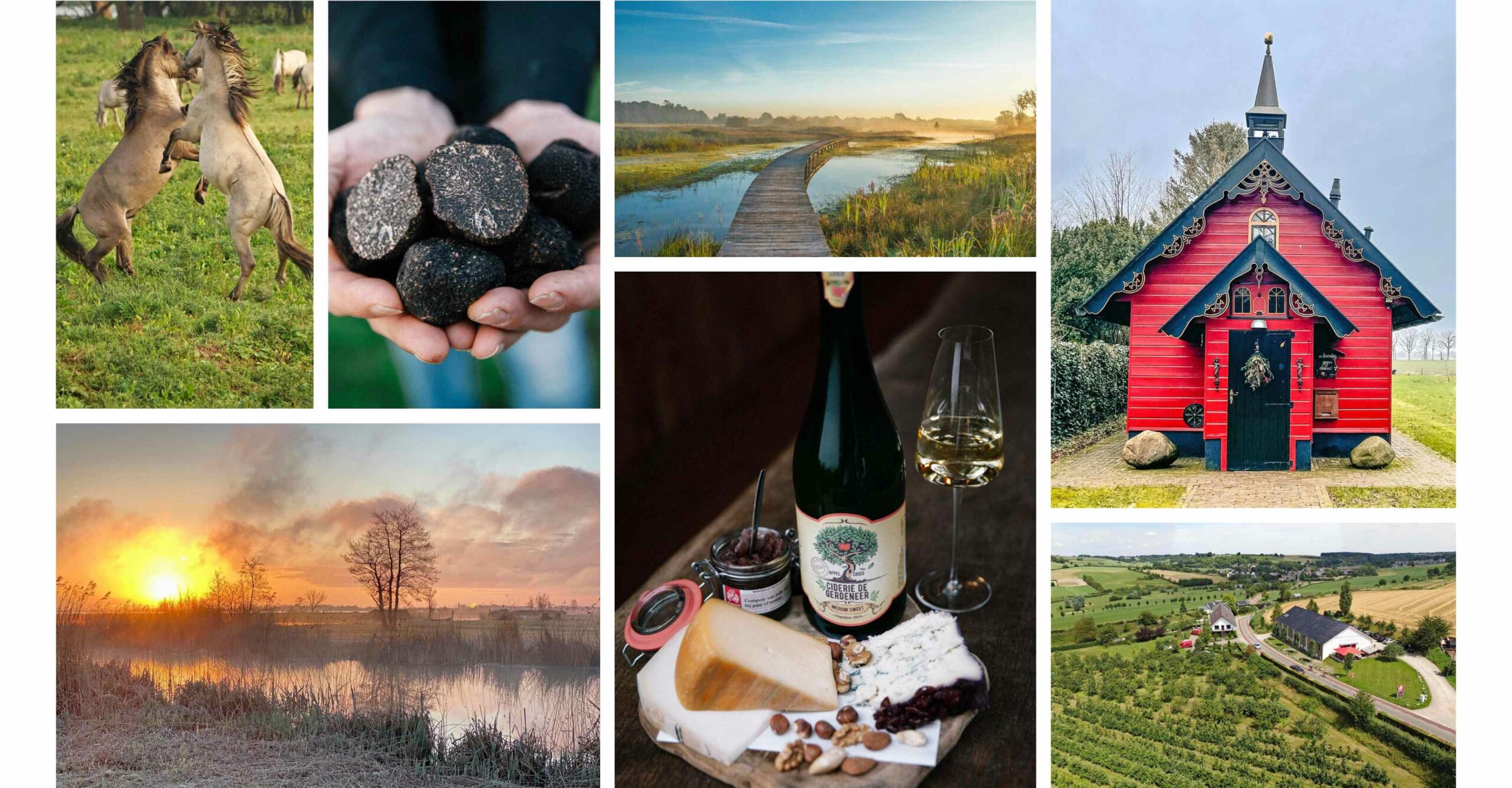 Nederland o Nederland - Zin.nl