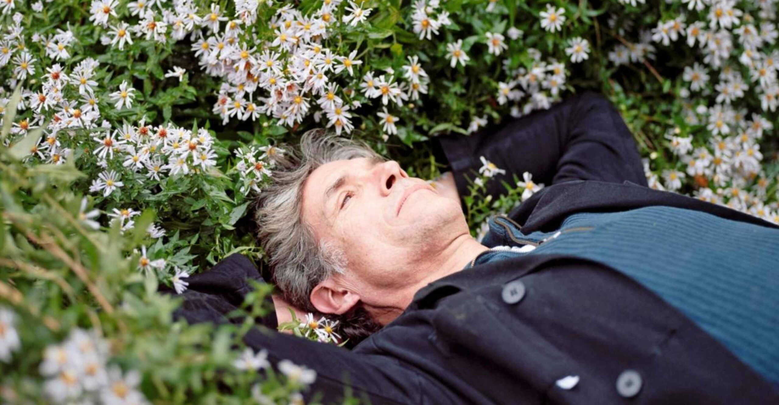 Daniel Boissevain - Zin.nl